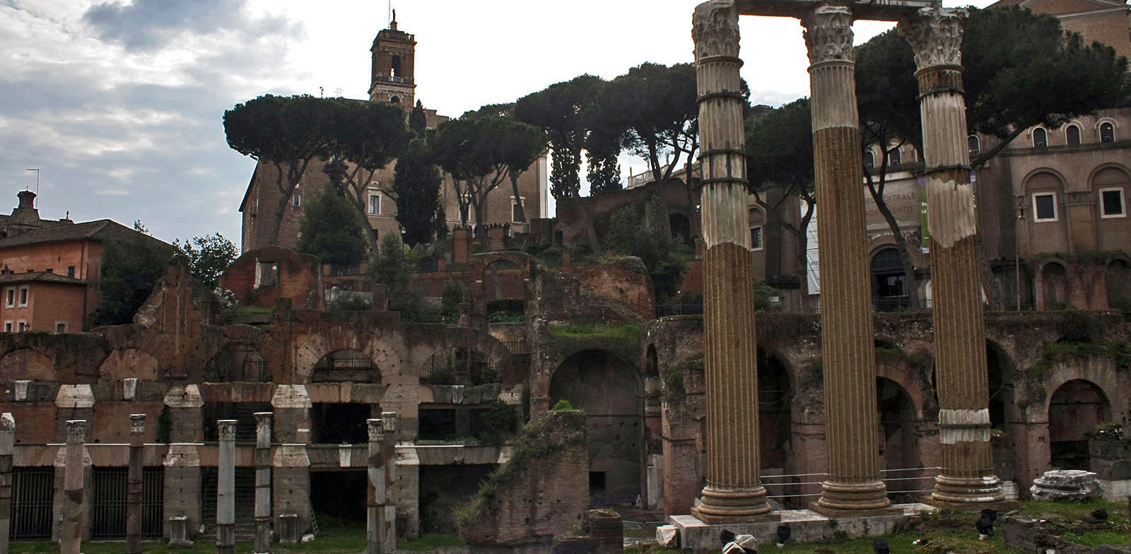 Le Forum Romain - Vicedi : voyager comme Ulysse