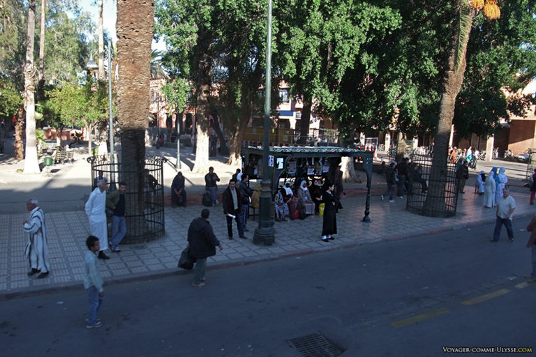 Transports de Marrakech - Vicedi : voyager comme Ulysse